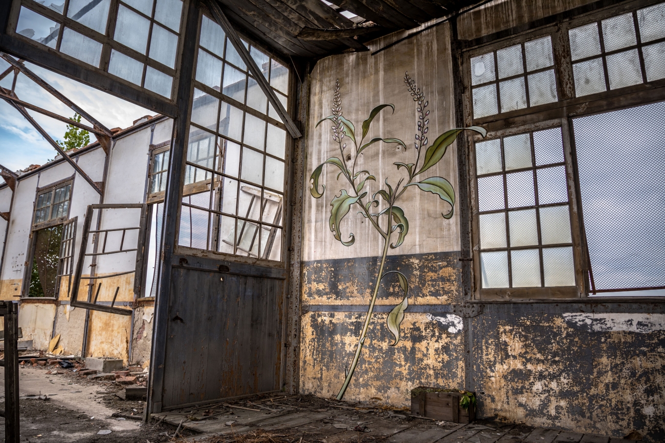 Mona Caron - artist | monacaron.com