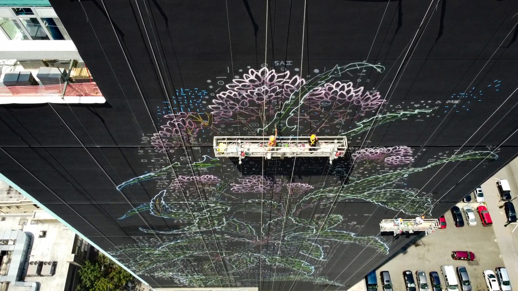 About Mona Caron | monacaron.com